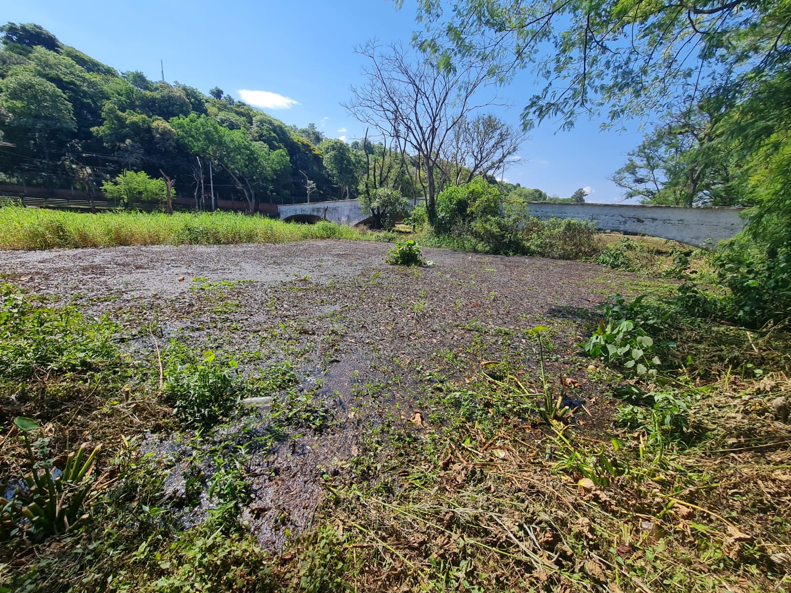 AGUA NEGRA en la zona del LAGO de la REPUBLICA – AhoraCDE