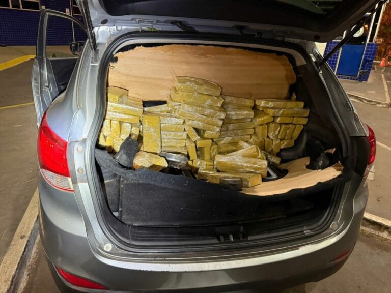 Detienen en BRASIL a una pareja de PARAGUAYOS con 184 kilos de MARIHUANA en un auto con chapa ...