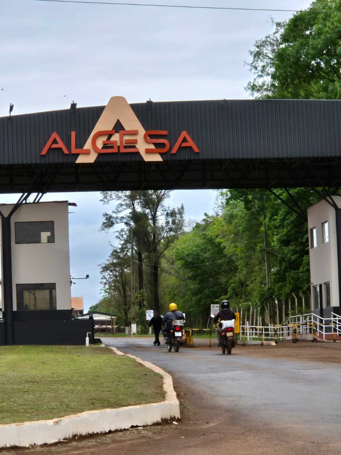 Que hay DETRÁS de las denuncias de CORRUPCIÓN y MONOPOLIO que hizo el POLITICO-CARTISTA, Ever ...